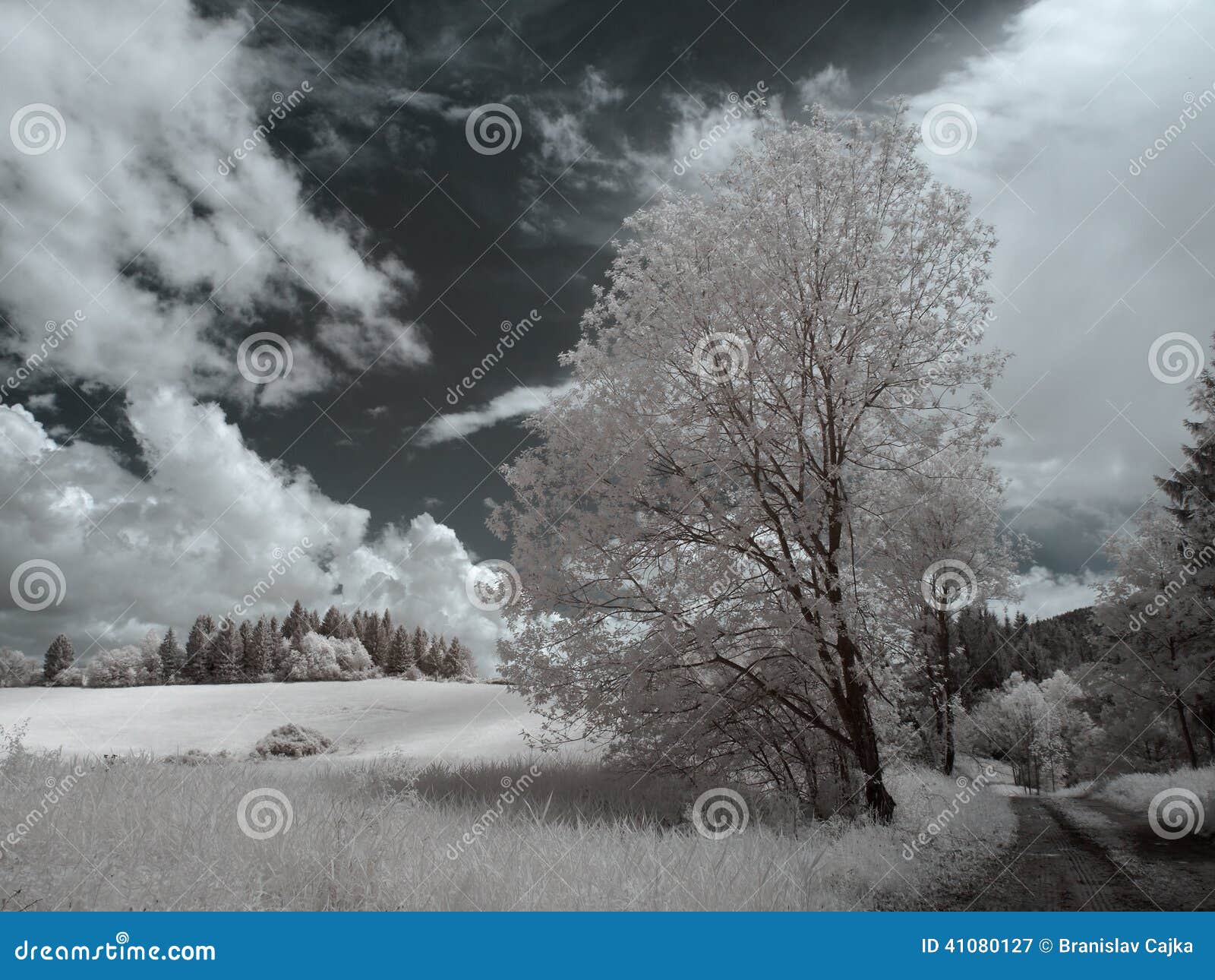 1,865 Full Spectrum Camera Stock Photos - Free & Royalty-Free Stock ...