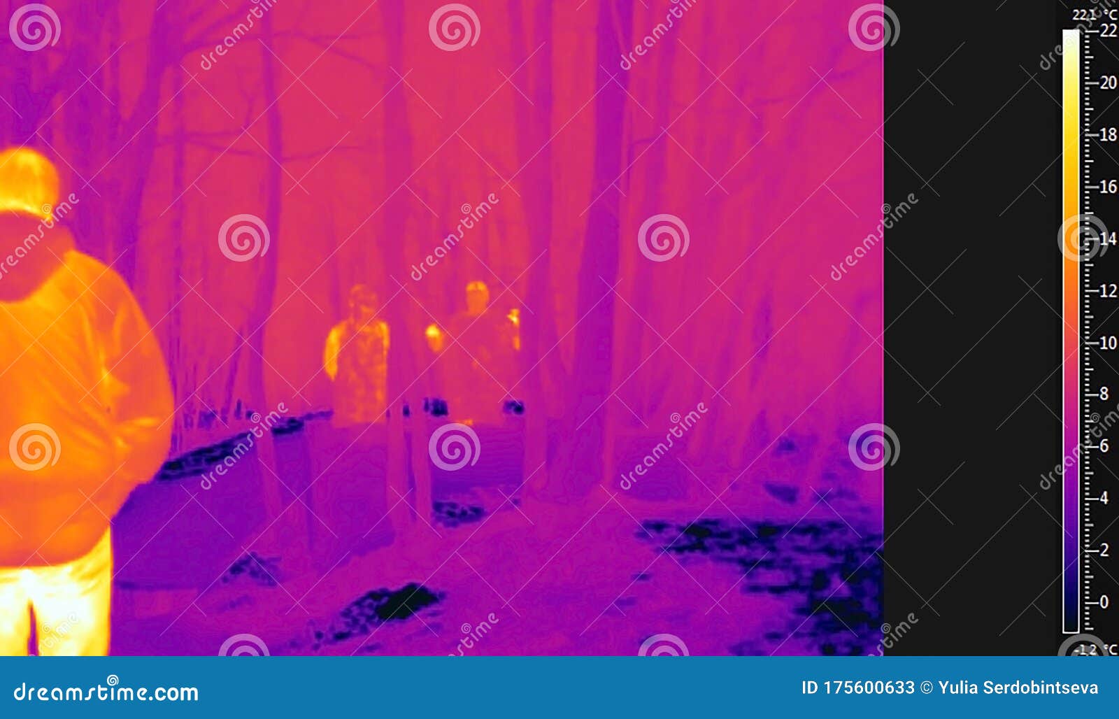 Infrared Thermal Image People Walking the Streets Stock Image - Image ...
