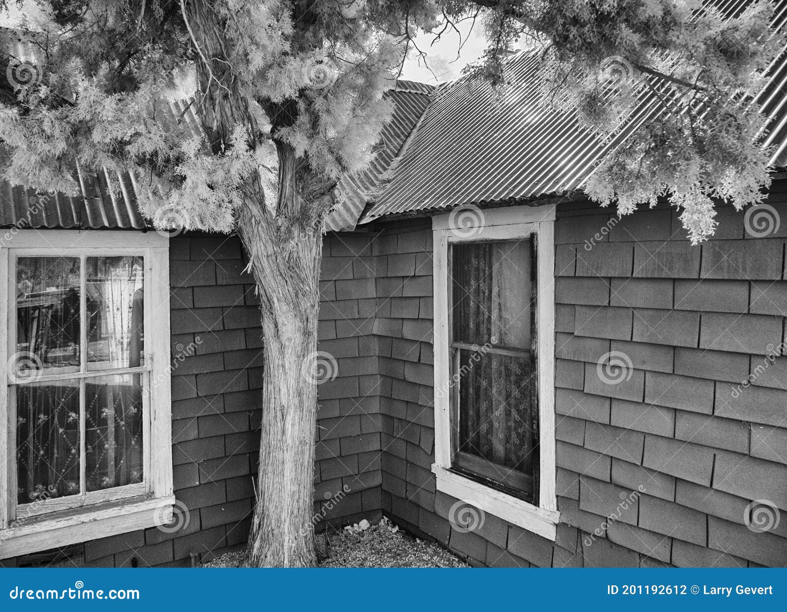 Infrared, Tree at the Corner of a House Stock Photo - Image of inviting ...