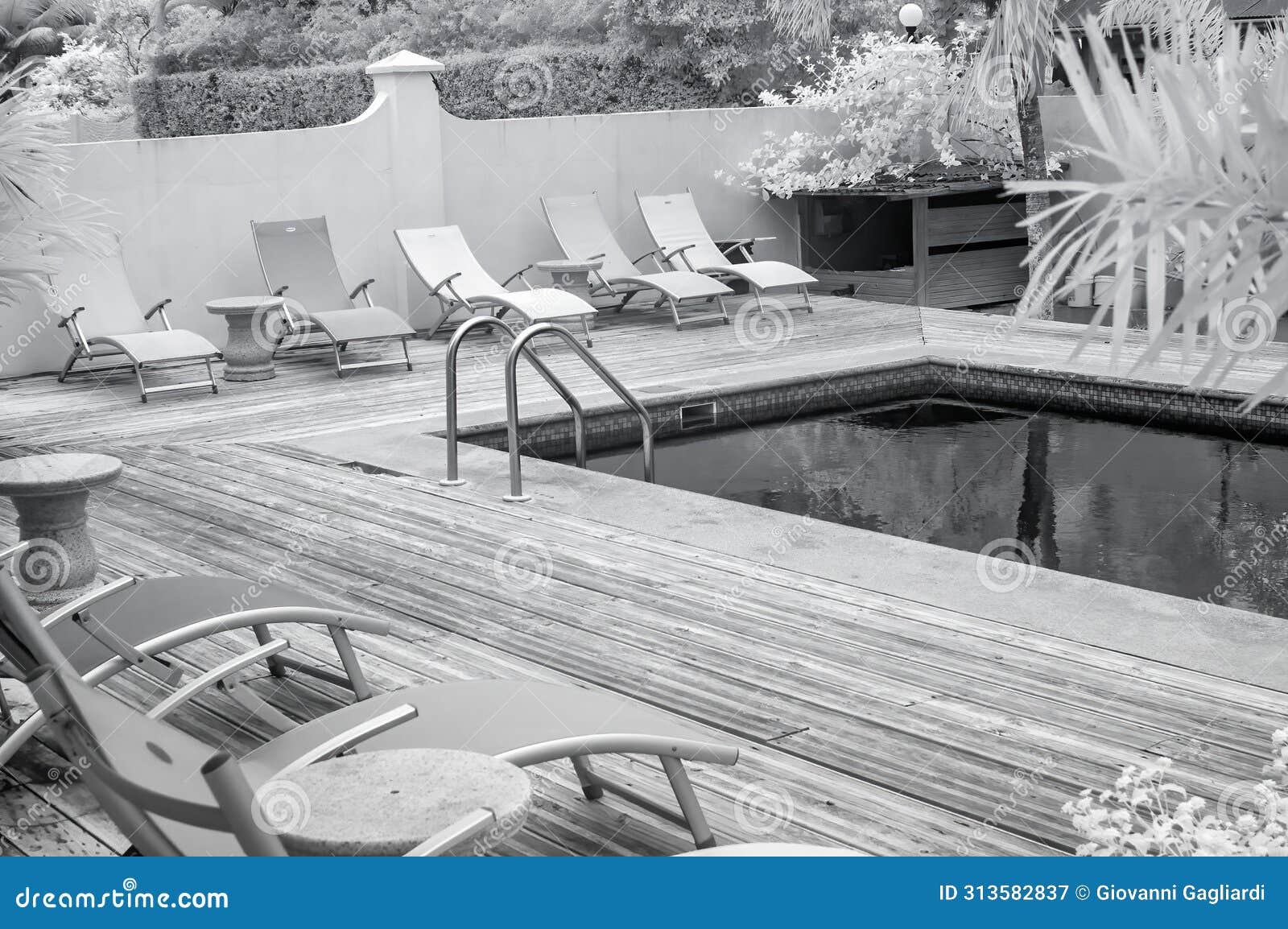 Infrared View of a Swimming Pool in a Tropical Environment Stock Image ...