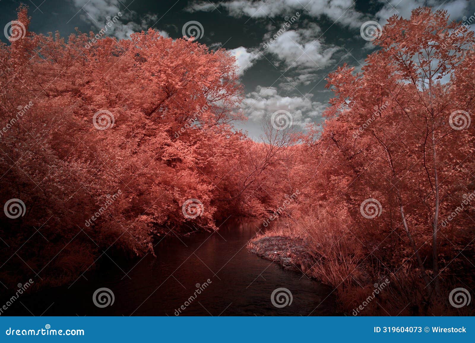 Infrared View of Trees and Water in the Forest Stock Image - Image of ...