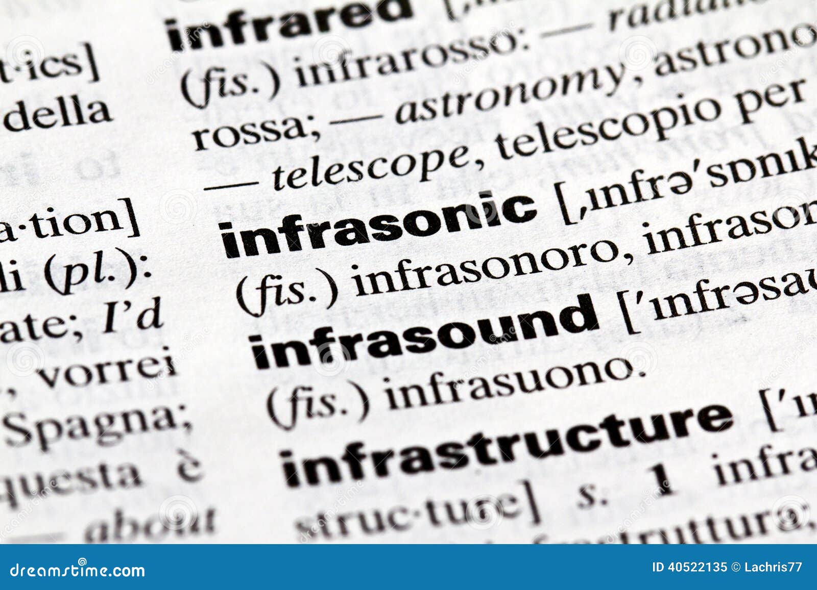 Infrasonic stock image. Image of lemma, macro, size, vocabulary - 40522135