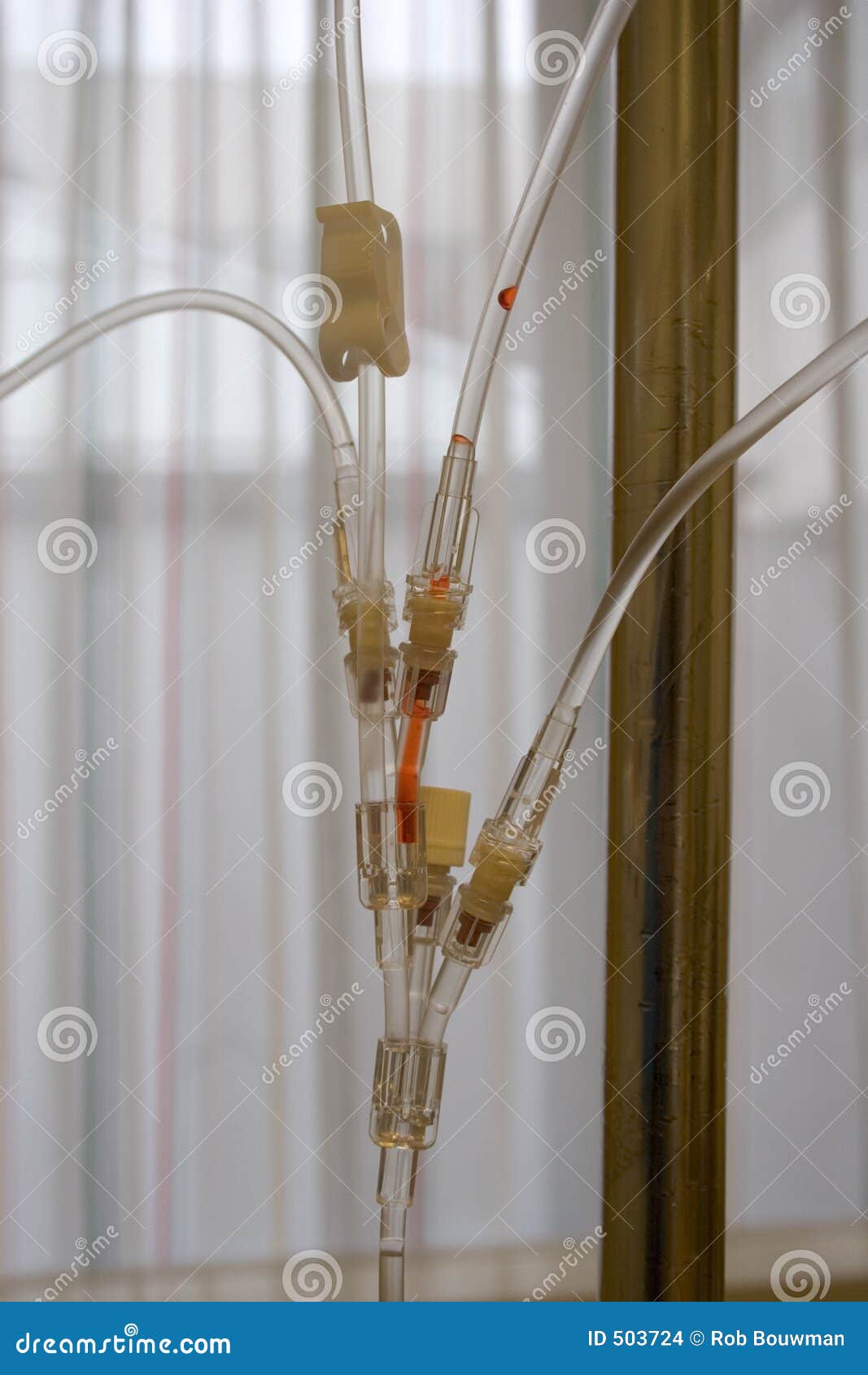Infusion stock photo. Image of medicine, hospital, intravenous - 503724
