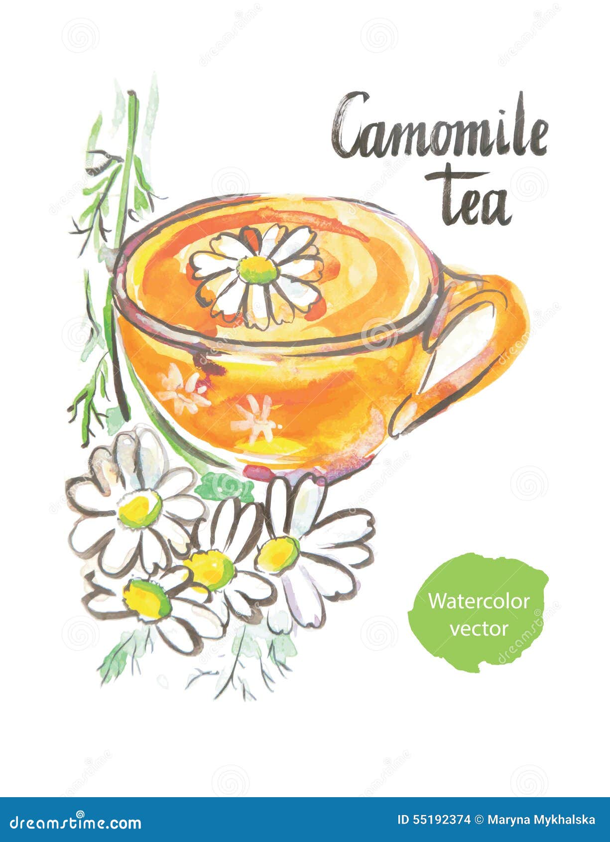 Infusion de camomille illustration de vecteur. Illustration du ...