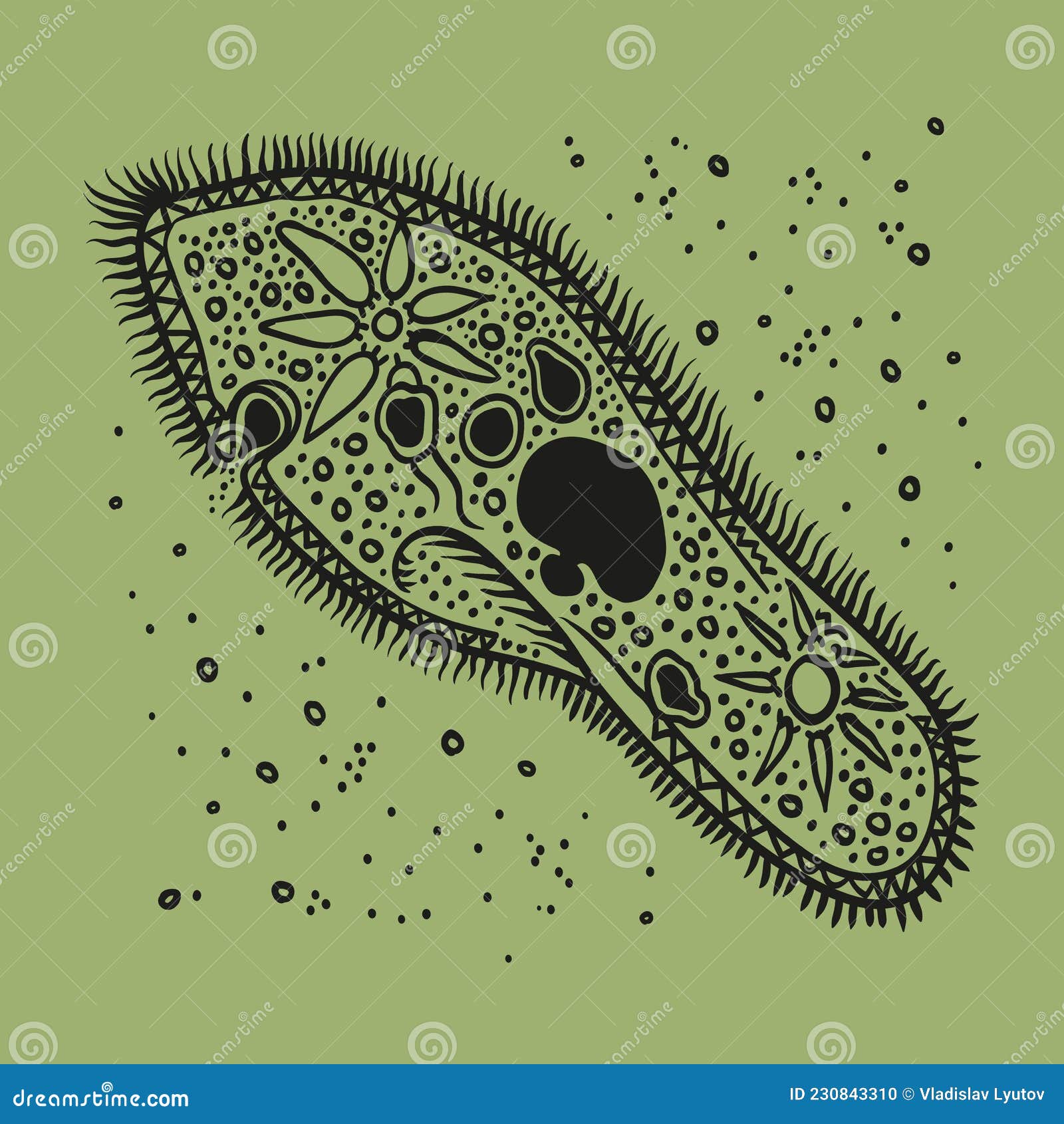 Infusoria Slipper Vector Illustration. Bacteria and Dirt. Stock Vector ...