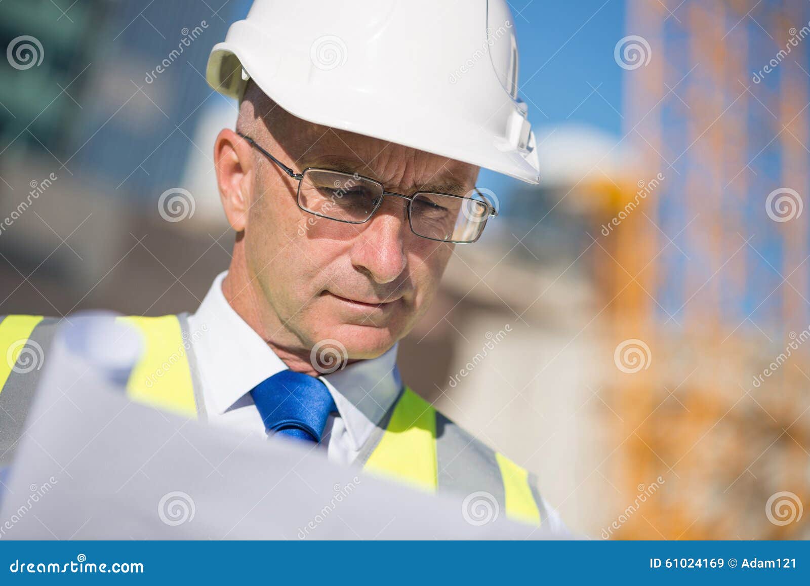 Ingegnere senior immagine stock. Immagine di domestico - 61024169