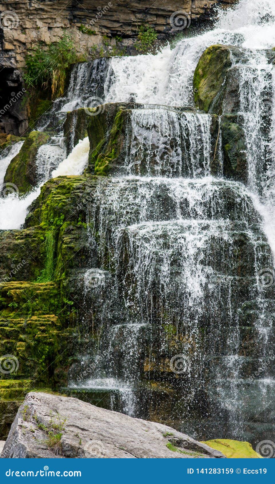 Inglis Falls Ontario Canada Close Up of the Falls Stock Image - Image ...