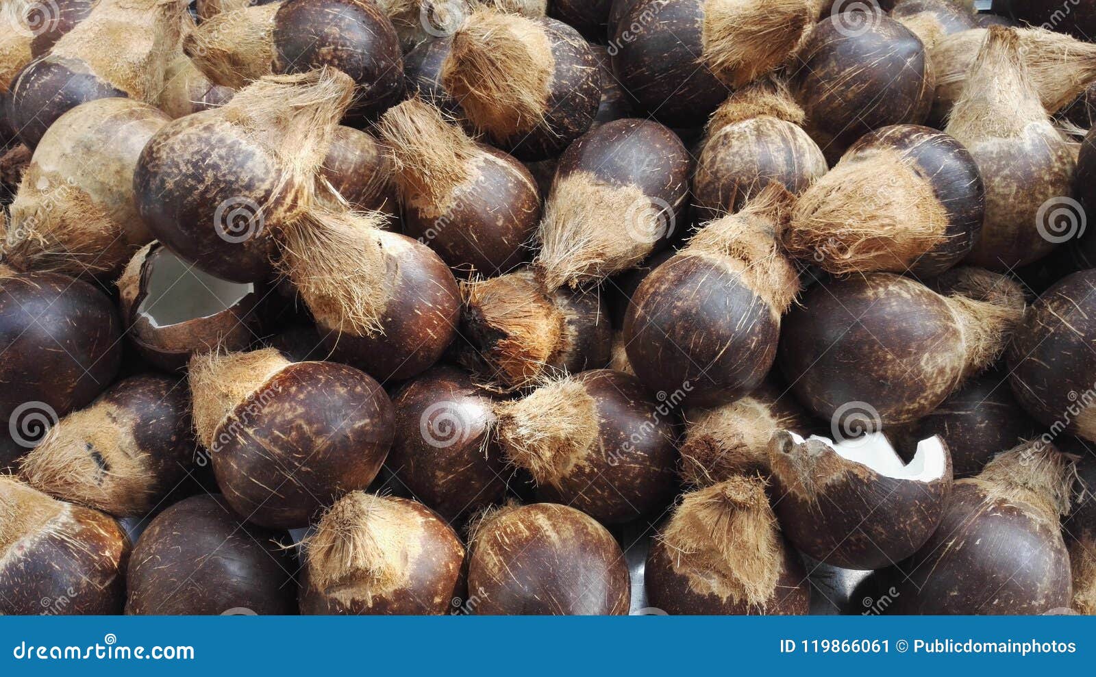 Ingredient, Nut Picture. Image: 119866061