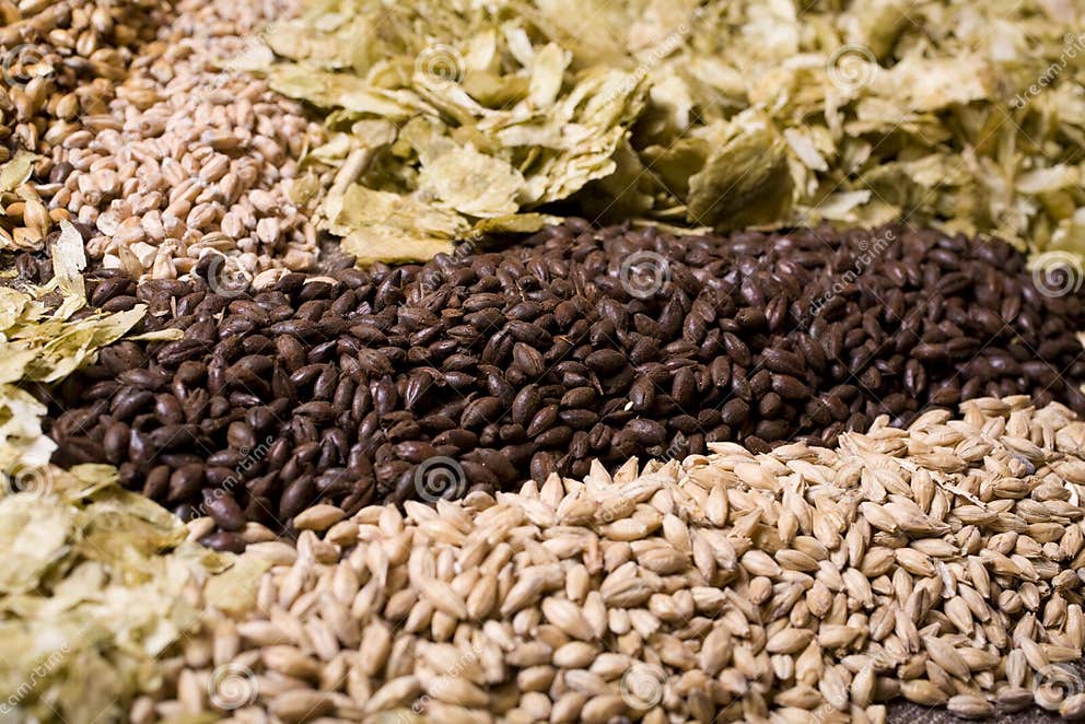 Ingredientes de la cerveza foto de archivo. Imagen de malta - 9285918