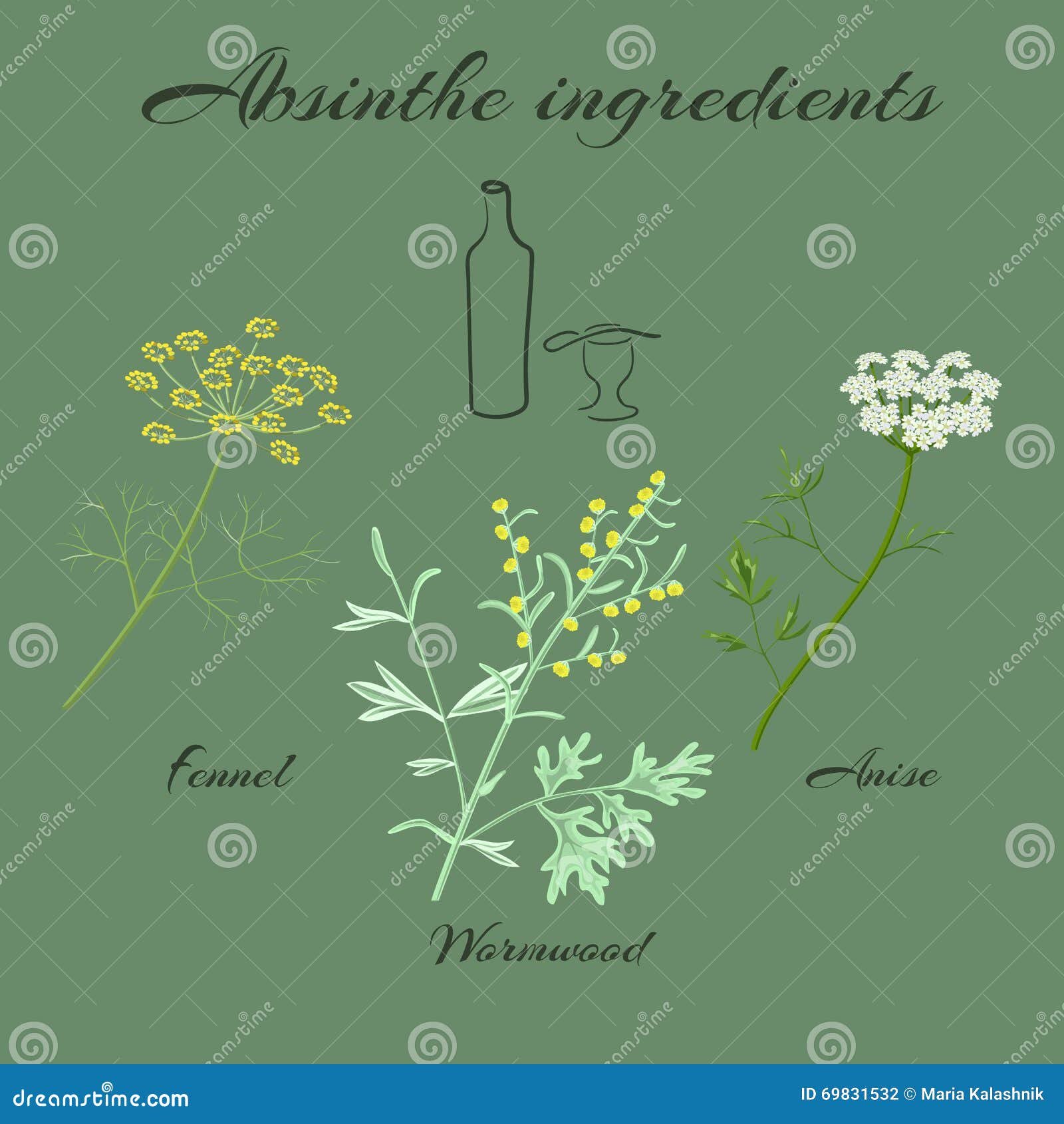 Ingredientes Do Absinto Das Ervas Ilustração do Vetor - Ilustração de ...