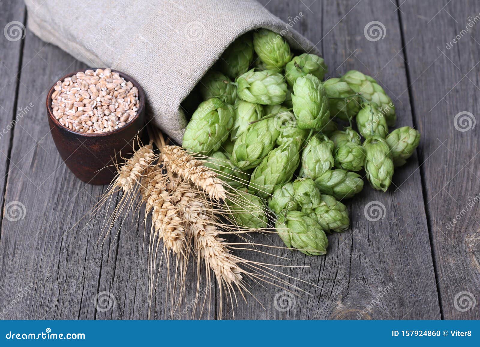 Ingredients for Brewing Beer Stock Photo - Image of object, conceptual ...
