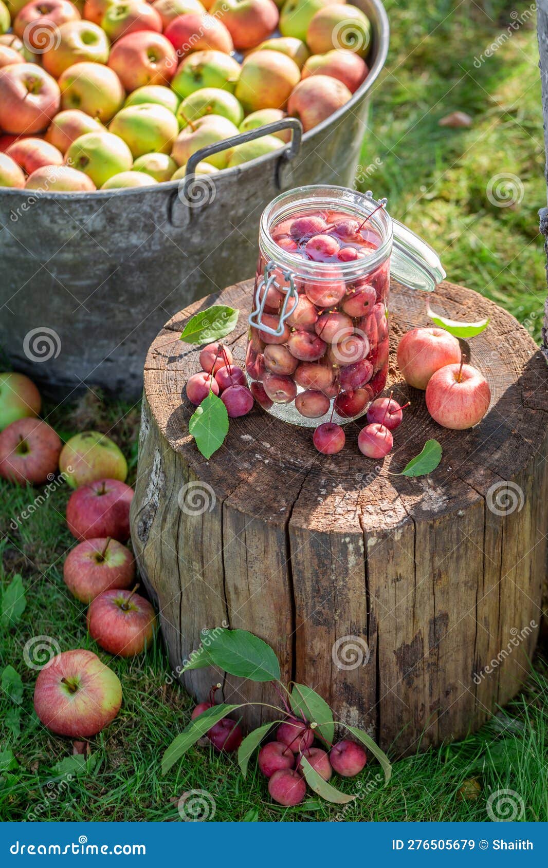Ingredients for Canned Apples in Jar in Summer Stock Image - Image of ...