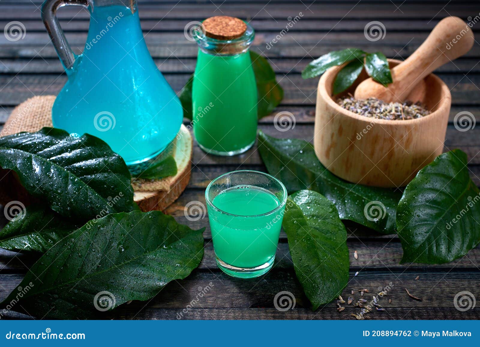 Ingredients for Making a Potion. Leaves Flowers Bottles Stock Photo ...