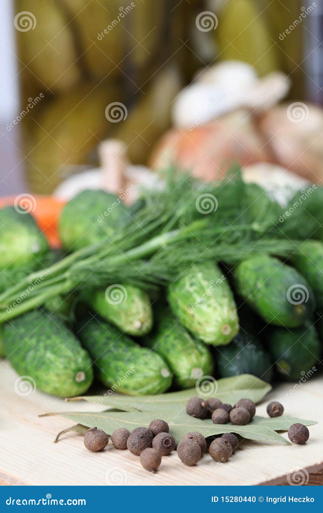 Ingredients for pickles stock photo. Image of pickled - 15280440