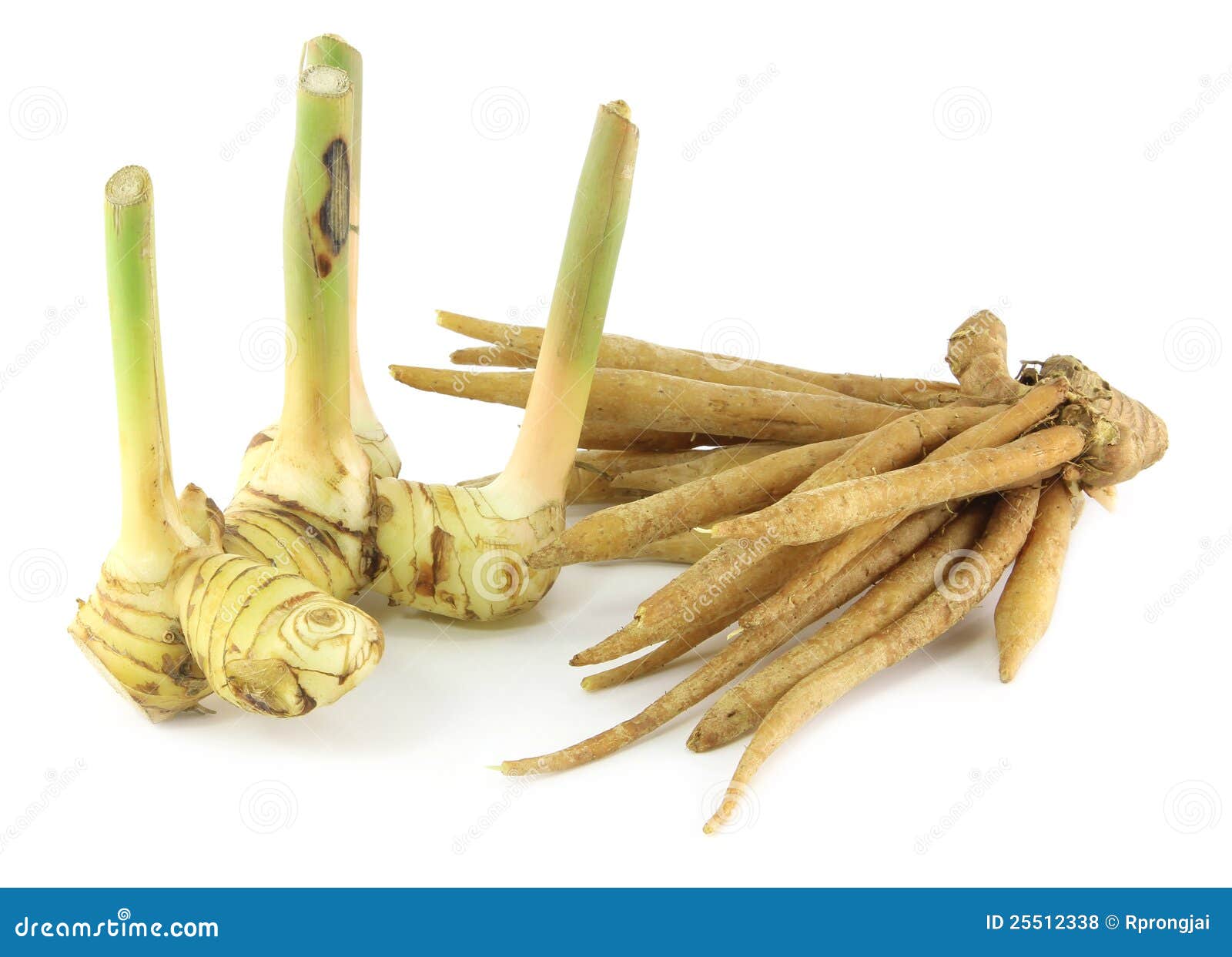 Ingwer und Galgantwurzel stockfoto. Bild von orientalisch - 25512338