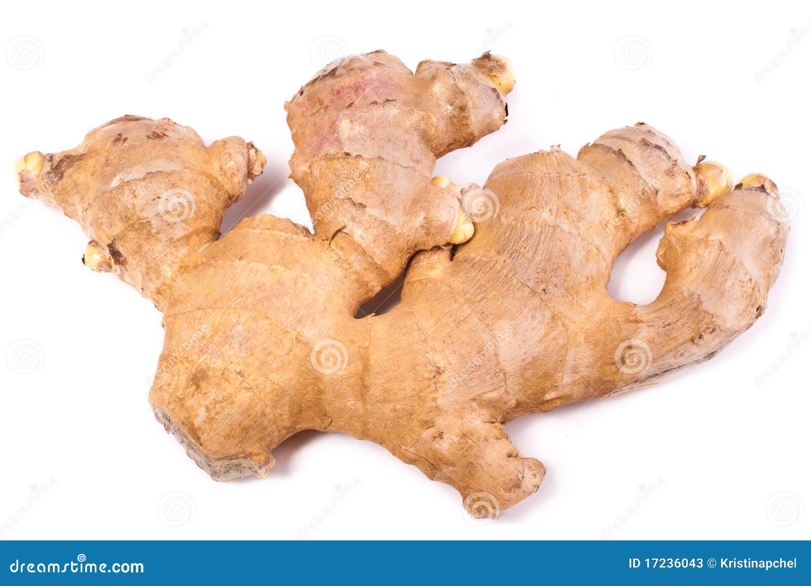 Ingwerwurzel stockbild. Bild von gewürze, gesund, orientalisch - 17236043