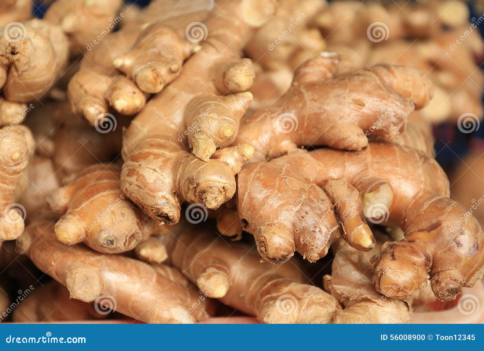 Ingwerwurzel Getrennt Worden Stockfoto - Bild von aromatisch, wurzel ...