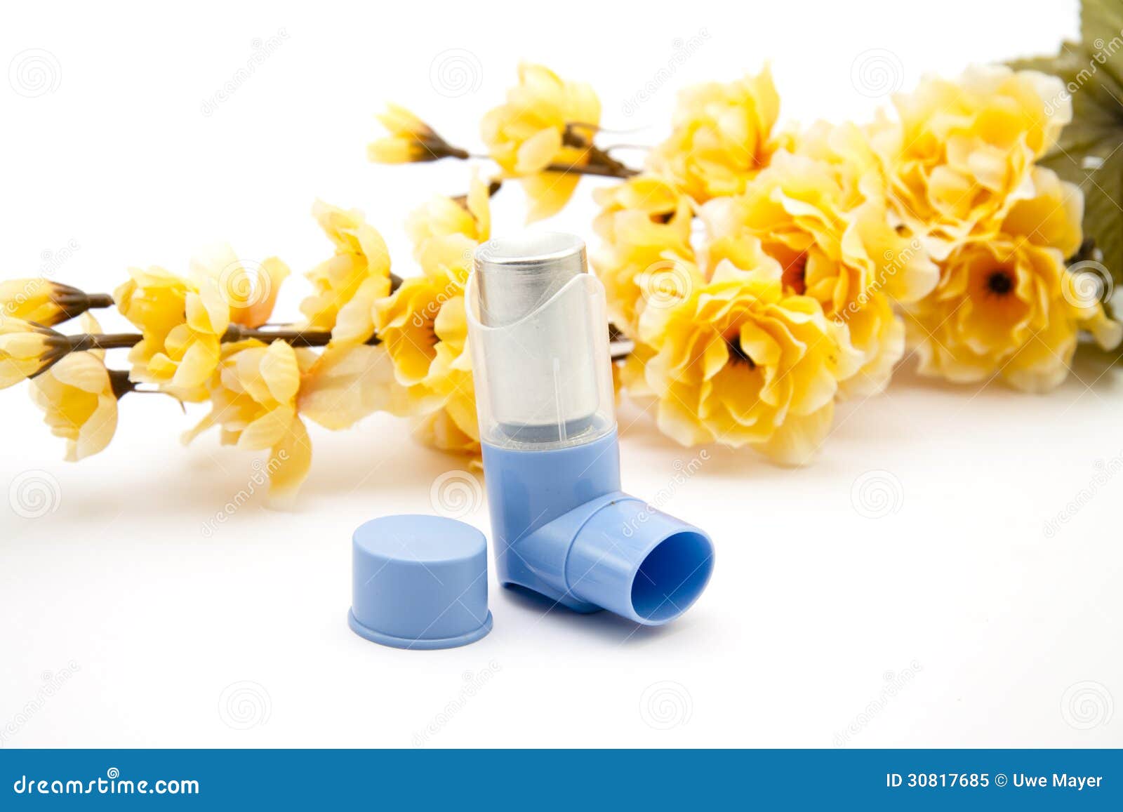 Inhaler with Flowering Branch Stock Image - Image of blossom, asthma ...