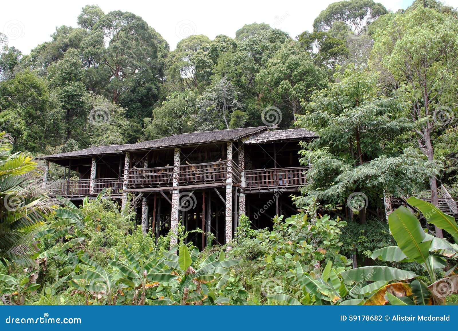 Inheems Dayak-Huis Borneo stock foto. Image of wildernis - 59178682