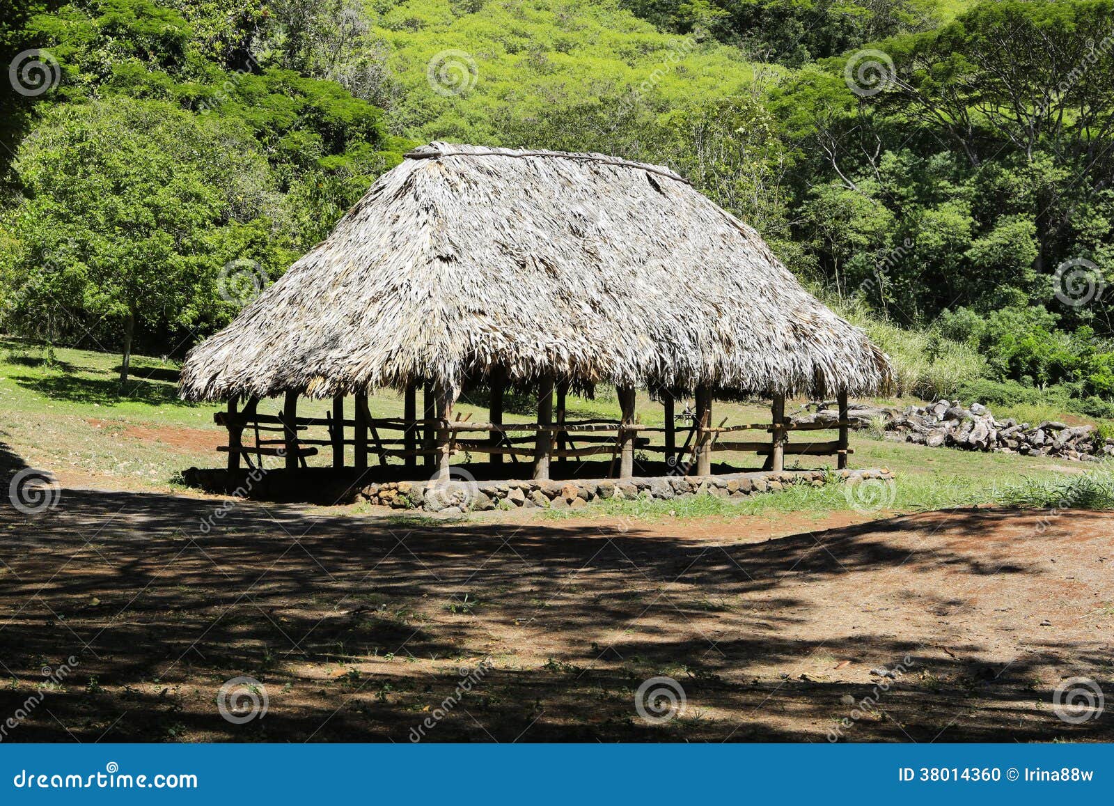 Inheems Hawaiiaans Dorpshuis Stock Foto - Image of bomen, zomer: 38014360