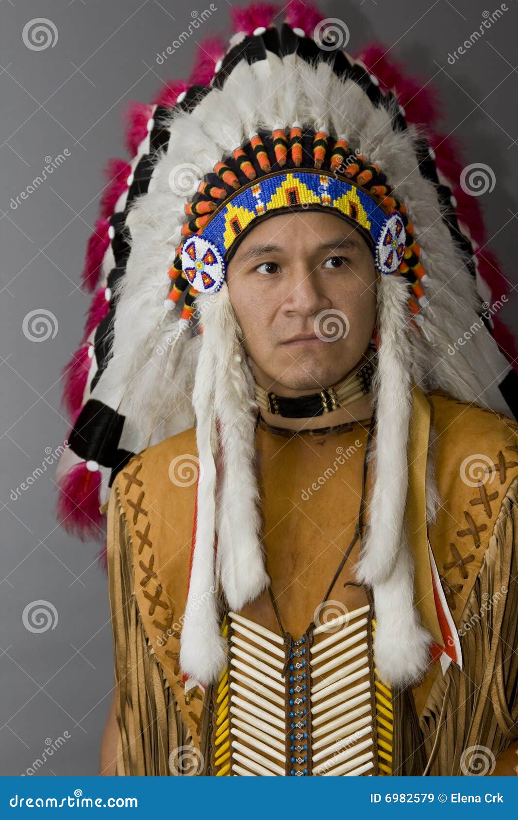 Inheemse Amerikaan stock afbeelding. Image of naturalness - 6982579