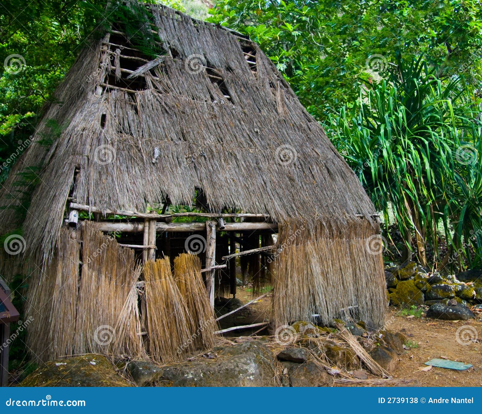 Inheemse Hawaiiaanse Hut stock foto. Image of heilig, recreatie - 2739138