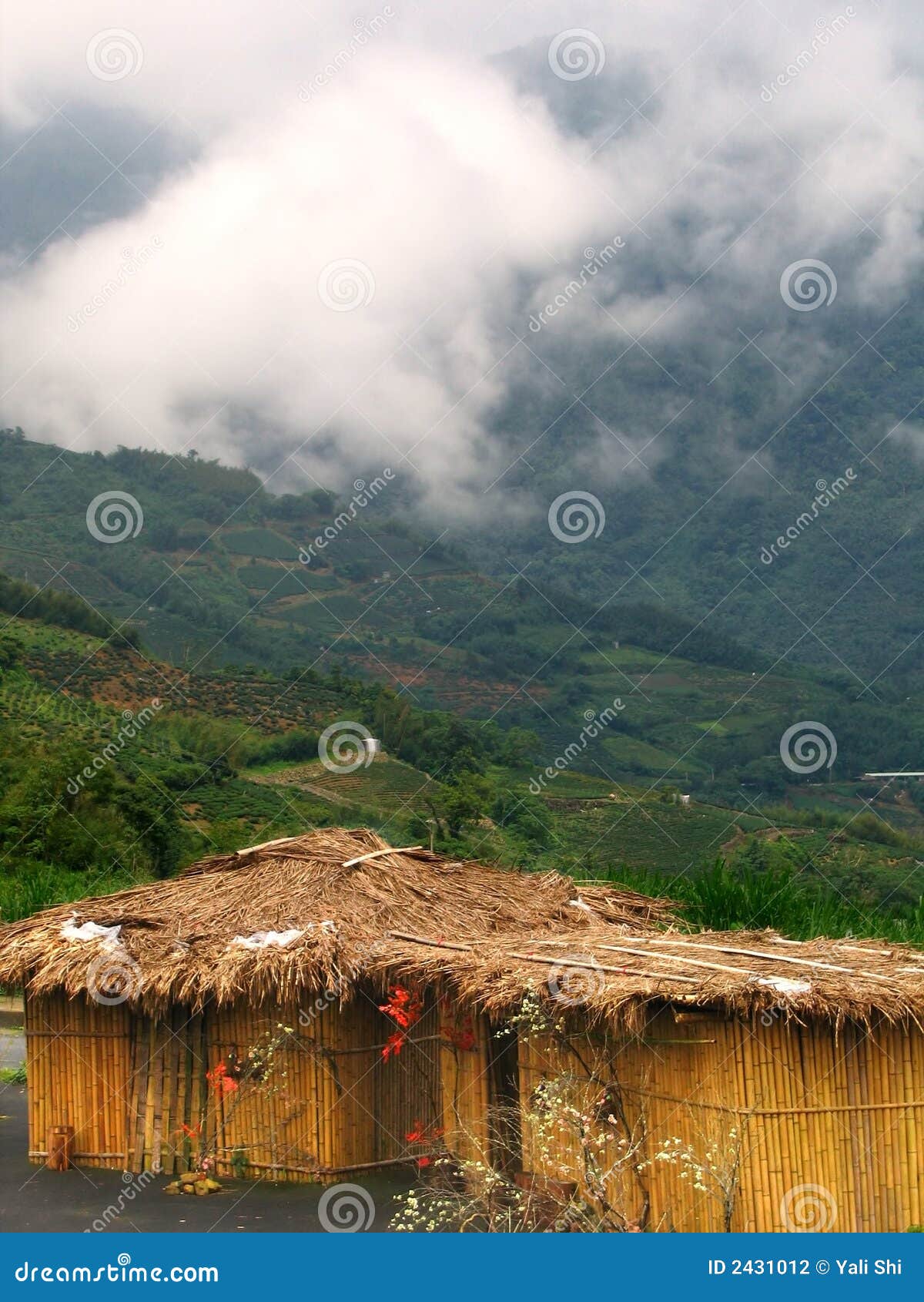 Inheemse Woning stock foto. Image of bomen, woning, bamboe - 2431012