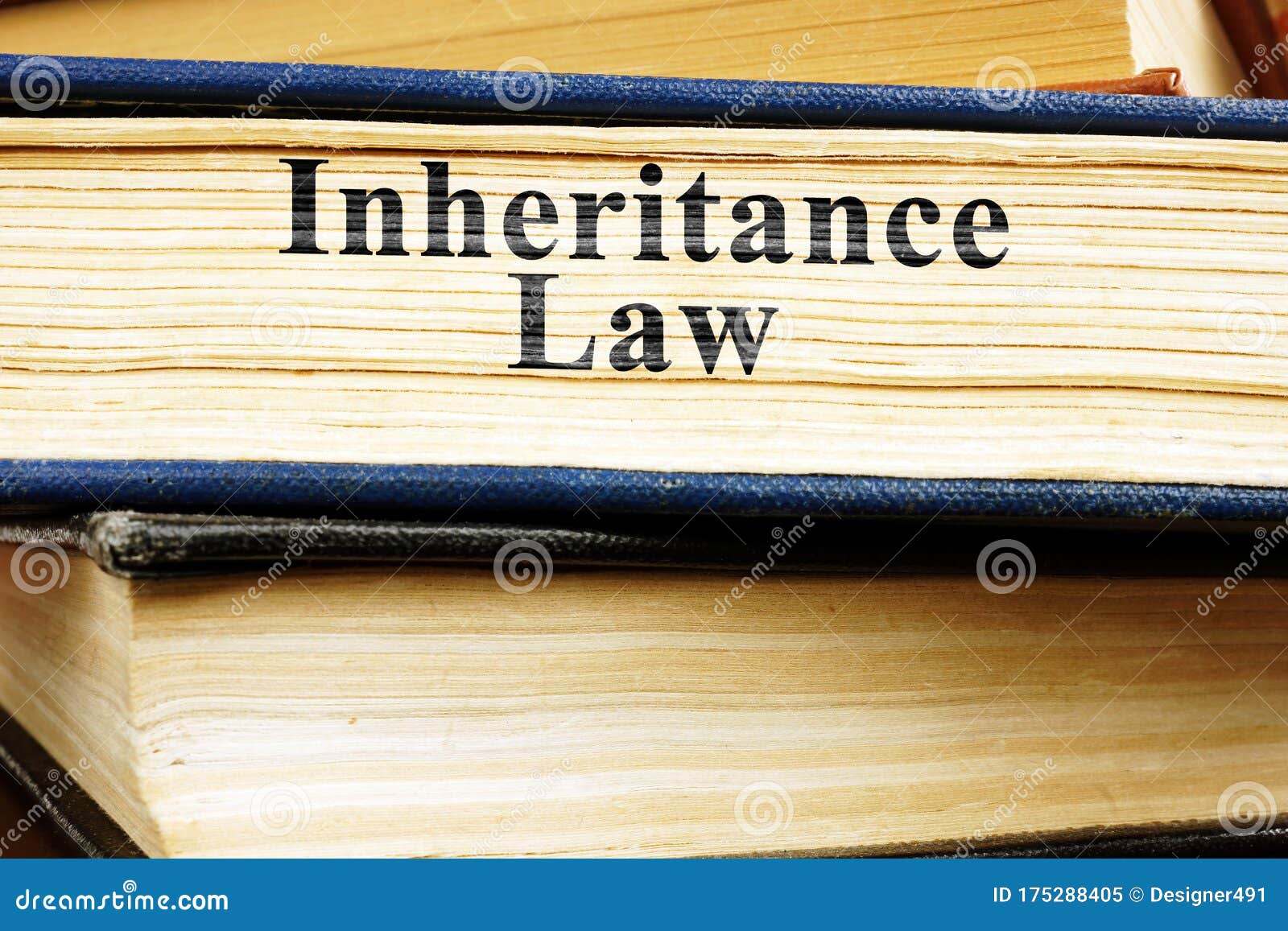 Inheritance Law and Stack of Books Stock Image - Image of money, book ...