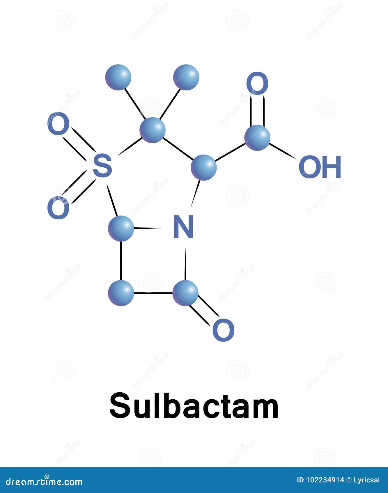 Inhibidor Beta-lactamase De Sulbactam Ilustración del Vector ...