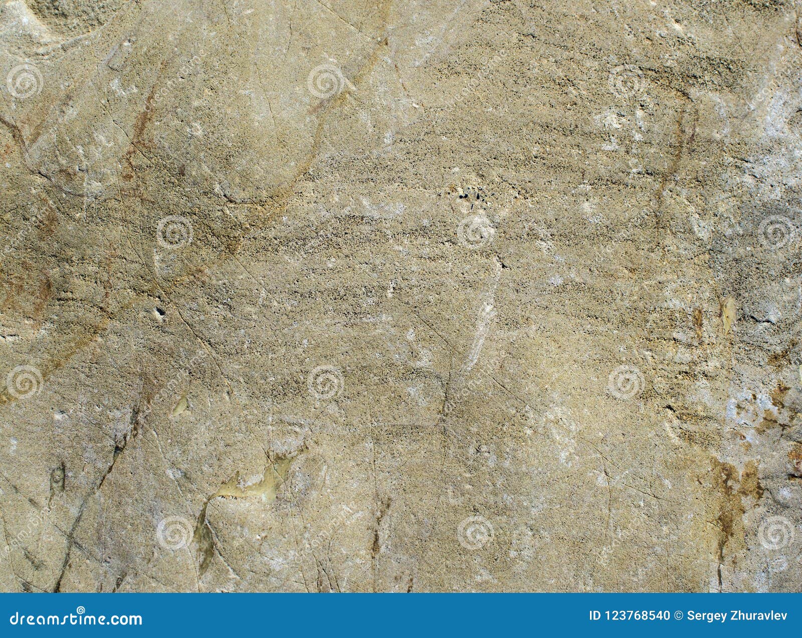 Structure of Fine-grained Gray Laminated Sandstone Stock Photo - Image ... Structure of Fine-grained Gray Laminated Sandstone Stock Photo - Image ...