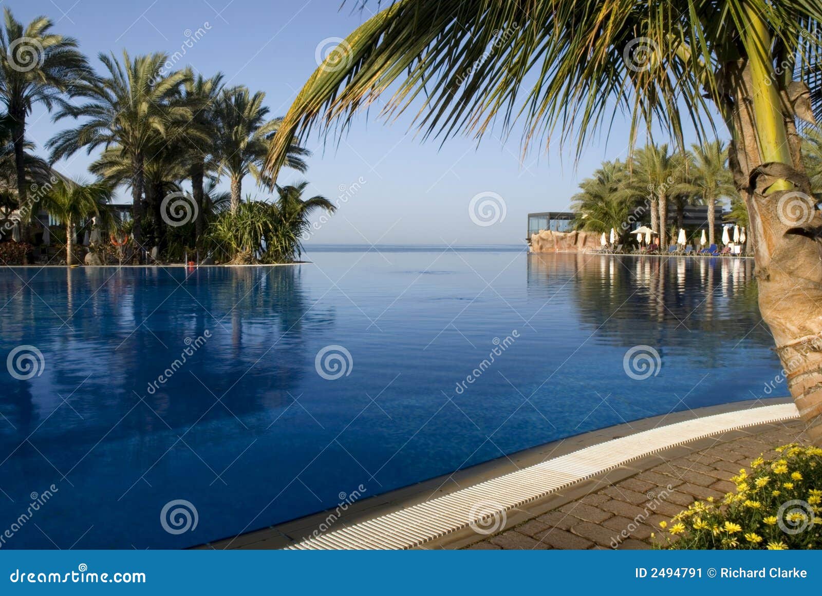 Inifinity pool1 stock image. Image of water, islands, clear - 2494791