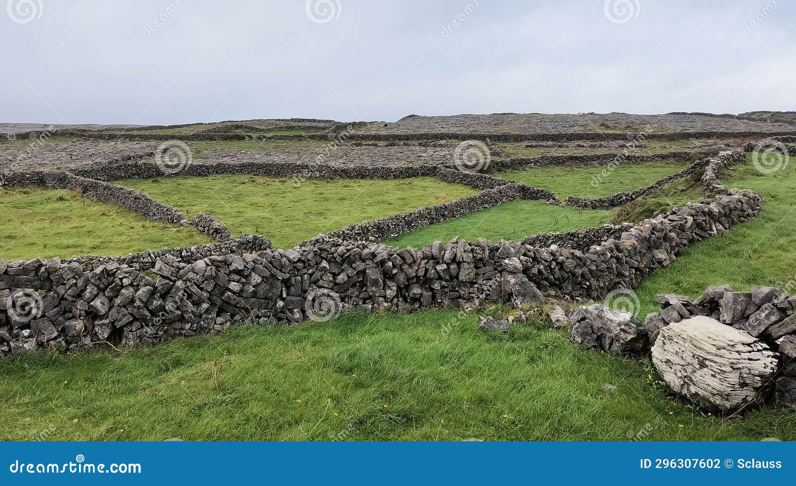 Inis Mor Landscape stock photo. Image of pastures, patches - 296307602