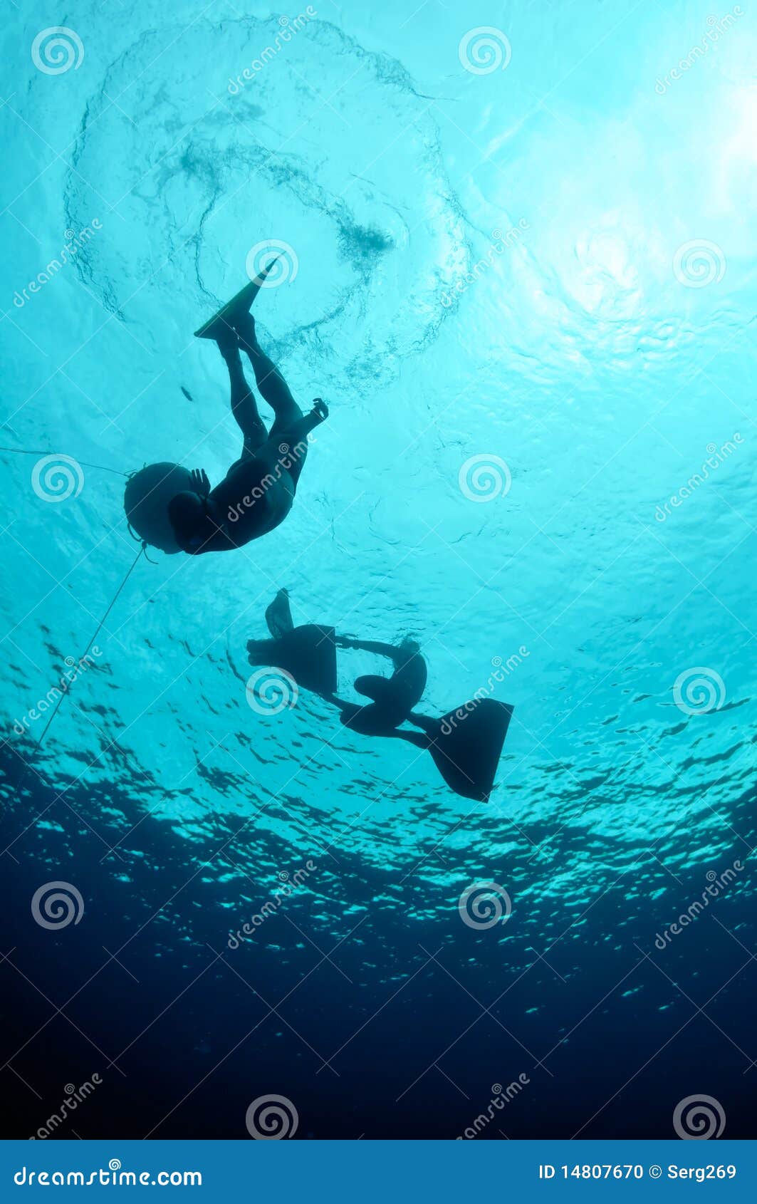 Initial Meters of Free Dive Stock Photo - Image of monofin, mask: 14807670