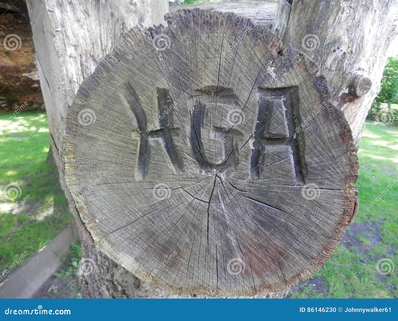 Initials Carved in Tree Trunk Stock Photo - Image of letters, initials ...