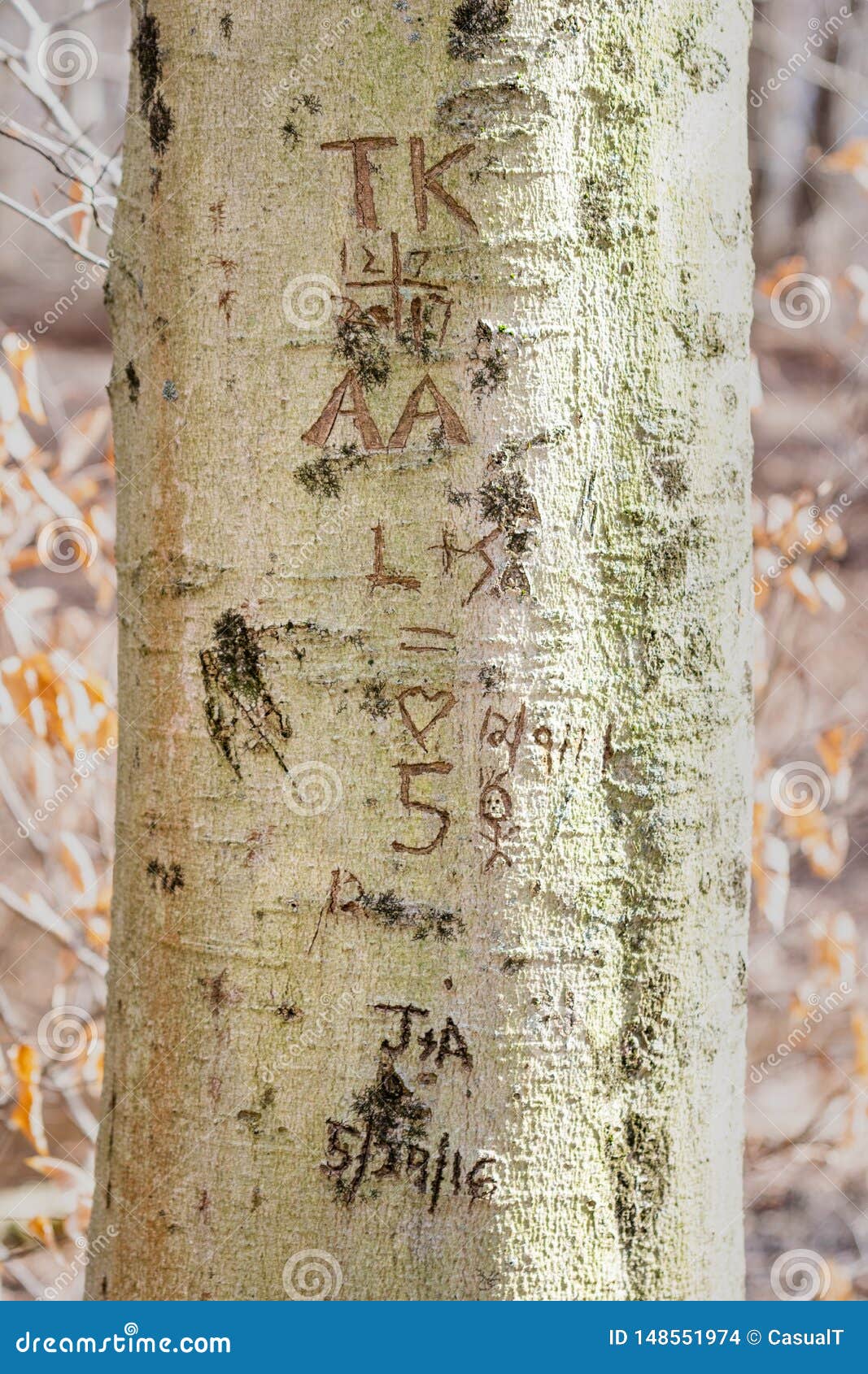 Initials and Dates, Carved into a Tree Trunk Stock Photo - Image of ...