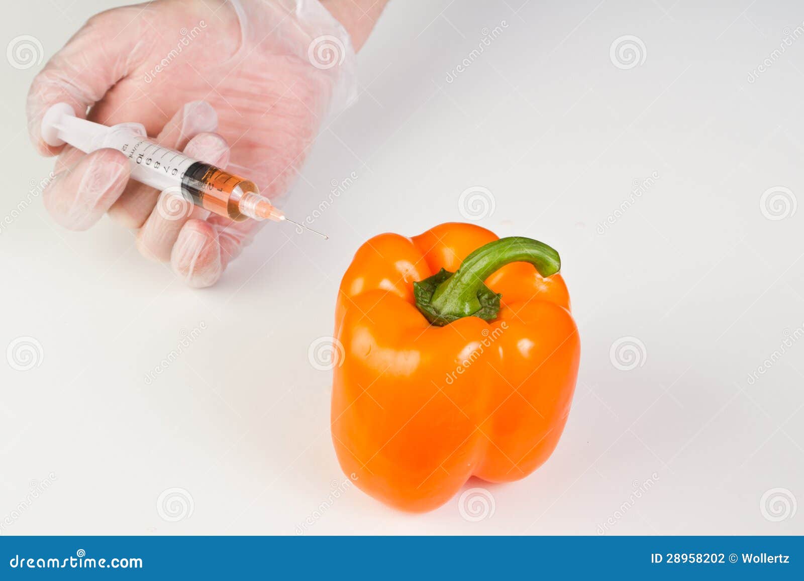 Injecting a Gmo Bell Pepper Stock Photo - Image of close, experiment ...
