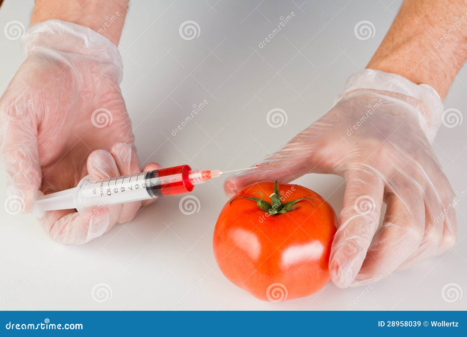 Injecting a gmo tomato stock image. Image of modified - 28958039