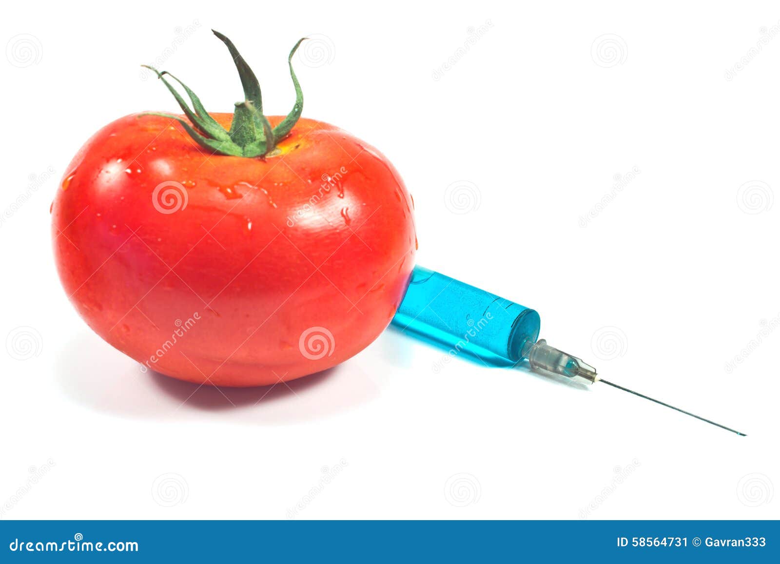 Injection for a Genetically Modified Tomatoes Stock Image - Image of ...