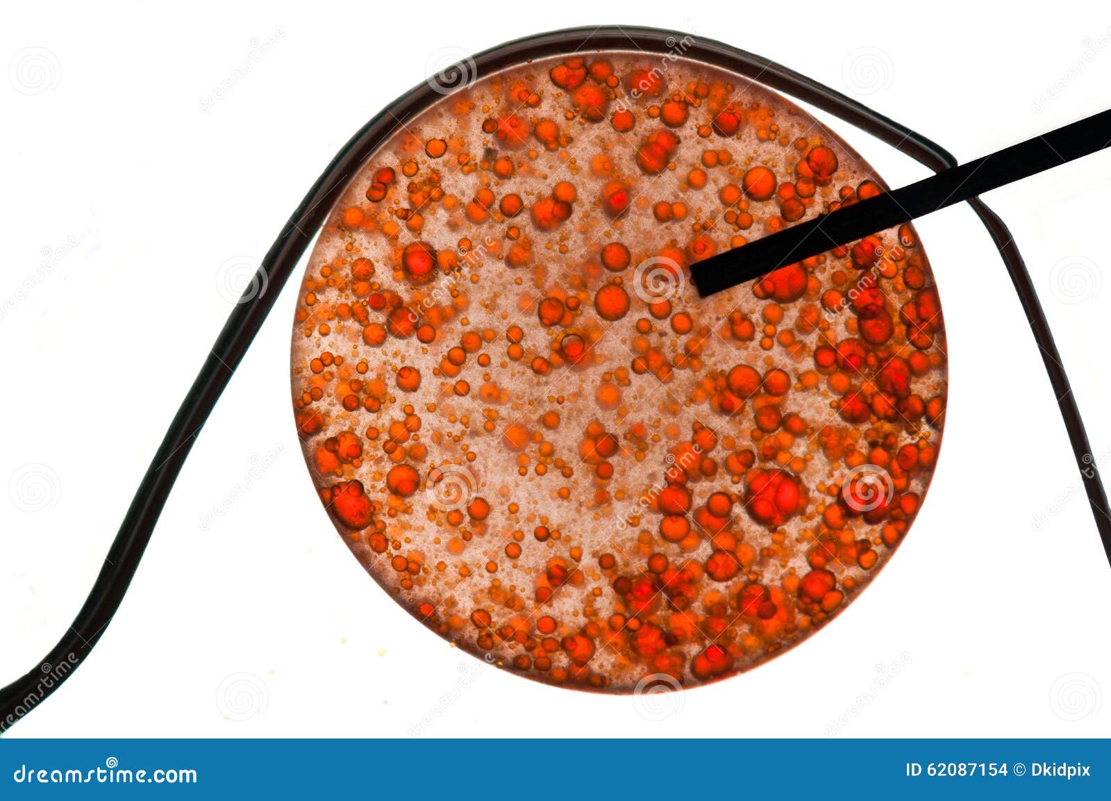 Injection stock photo. Image of human, micro, bacteria - 62087154