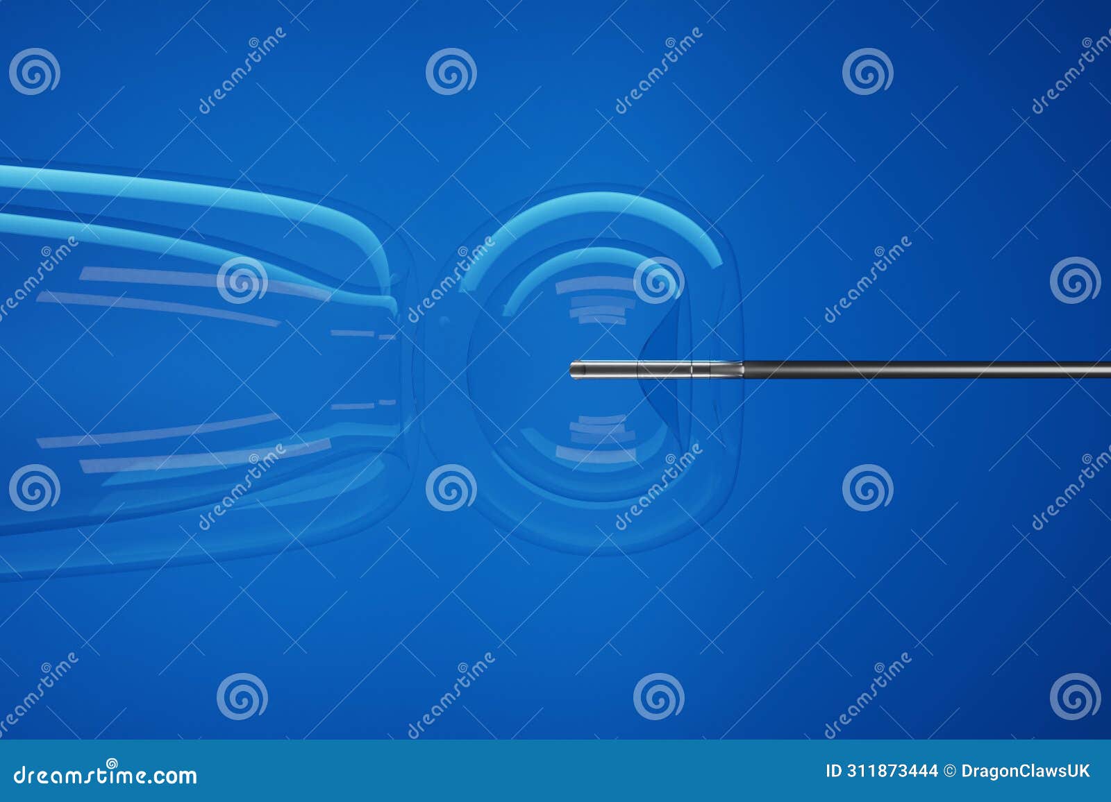 Injection of Stem Cell into a Transparent Embryo by a Silver Sharp ...