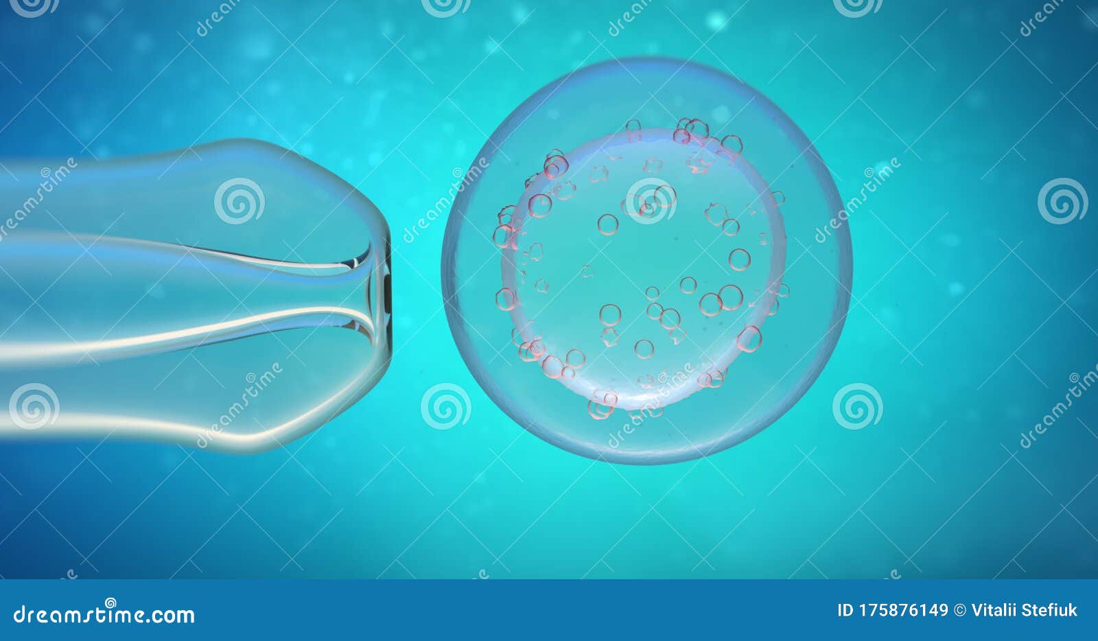 Injection of a Substance into a Cell in an Organism Under a Microscope ...