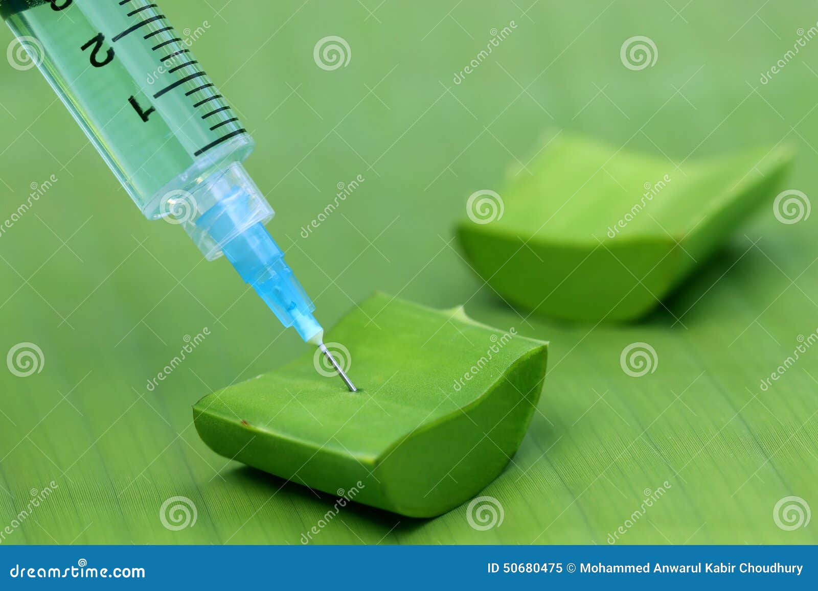 Injection Syringe and Fresh Aloe Vera Stock Image - Image of care ...