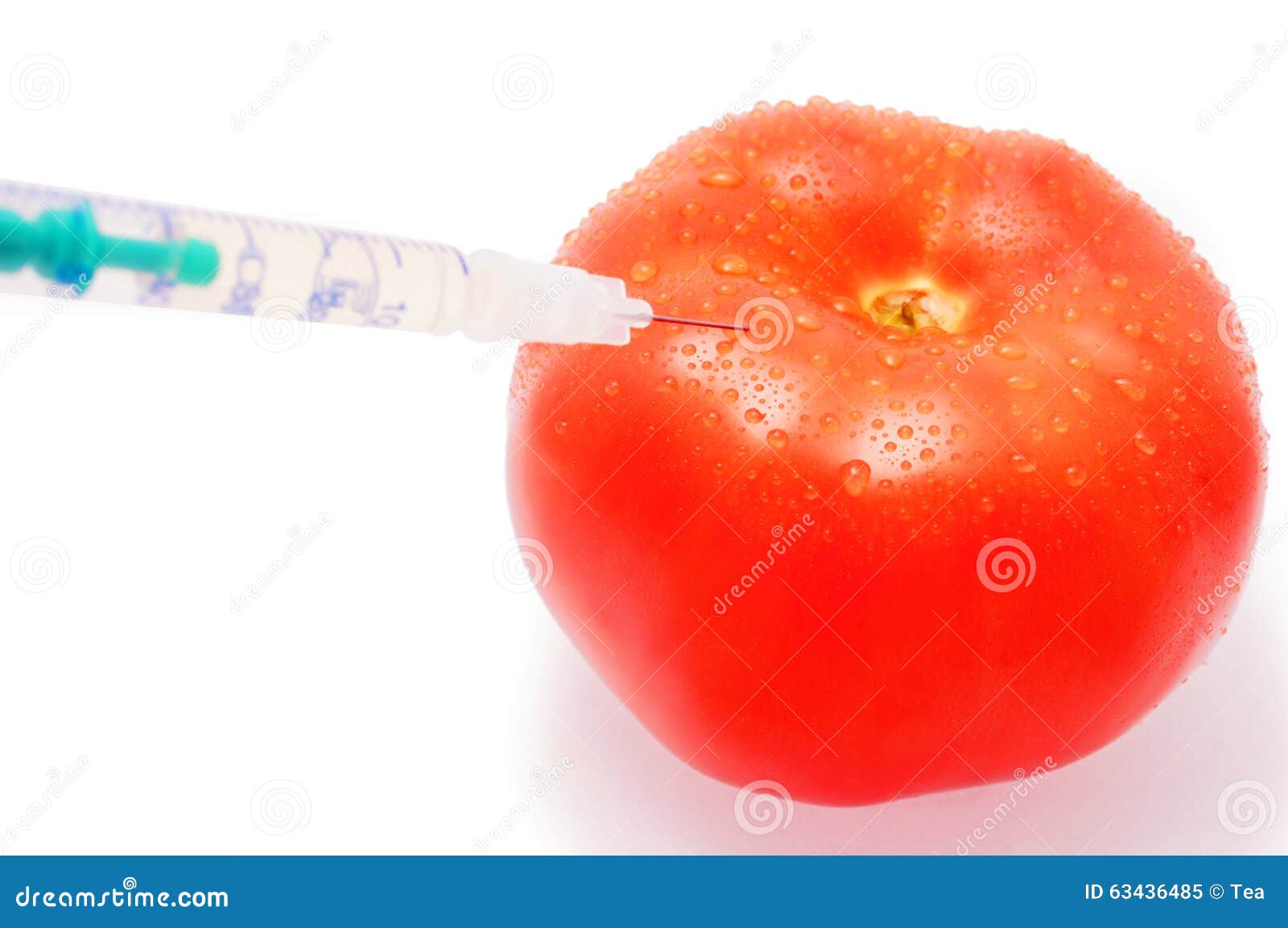 Injection in tomato stock image. Image of pesticides - 63436485