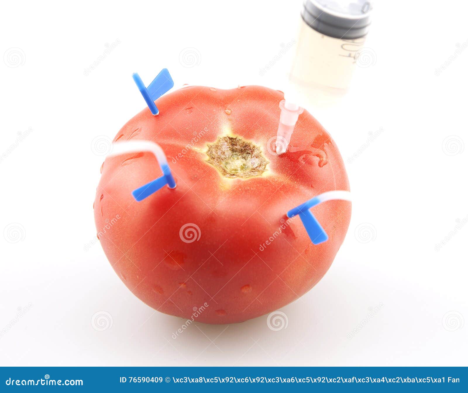 The injection of tomatoes stock image. Image of safe - 76590409