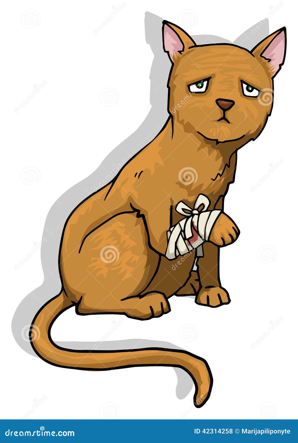 Injured cat stock illustration. Illustration of tail - 42314258