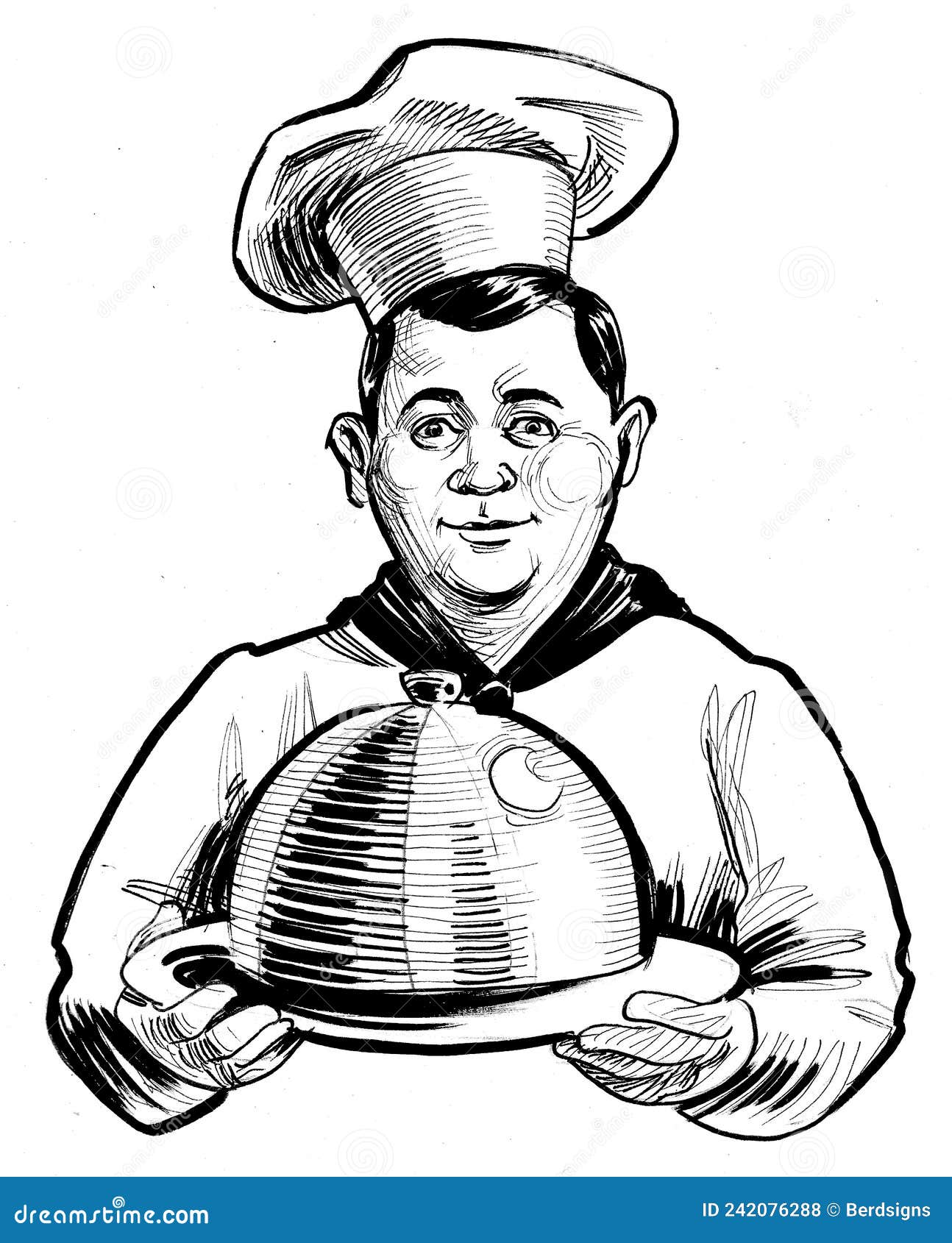 Chef with dish stock photo. Image of person, character - 242076288
