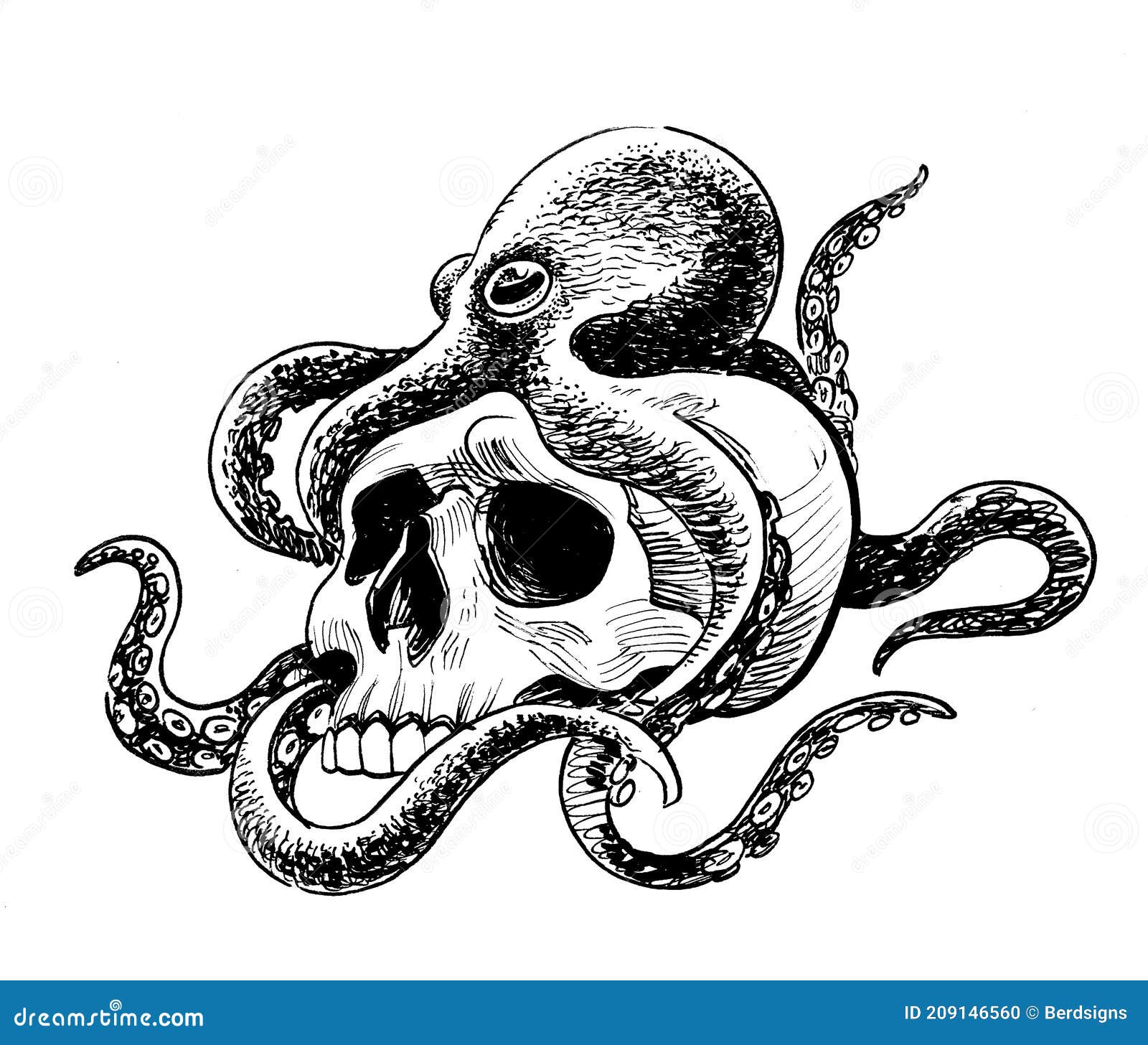 Skull and squid stock illustration. Illustration of human - 209146560