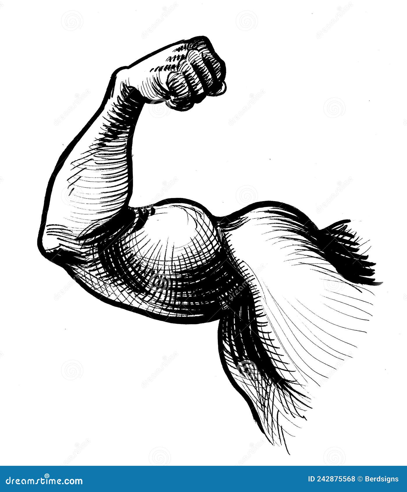 Strong biceps stock illustration. Illustration of drawing - 242875568