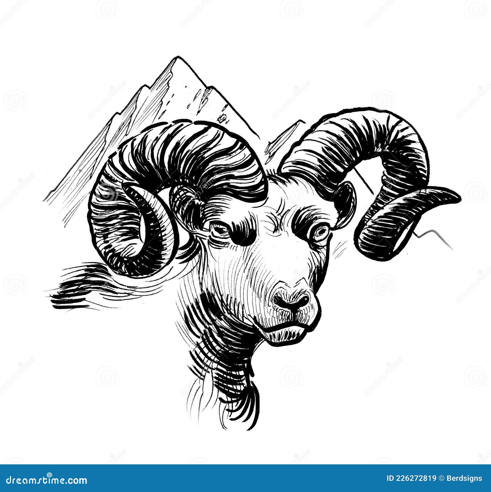 Mountain ram stock illustration. Illustration of horned - 226272819