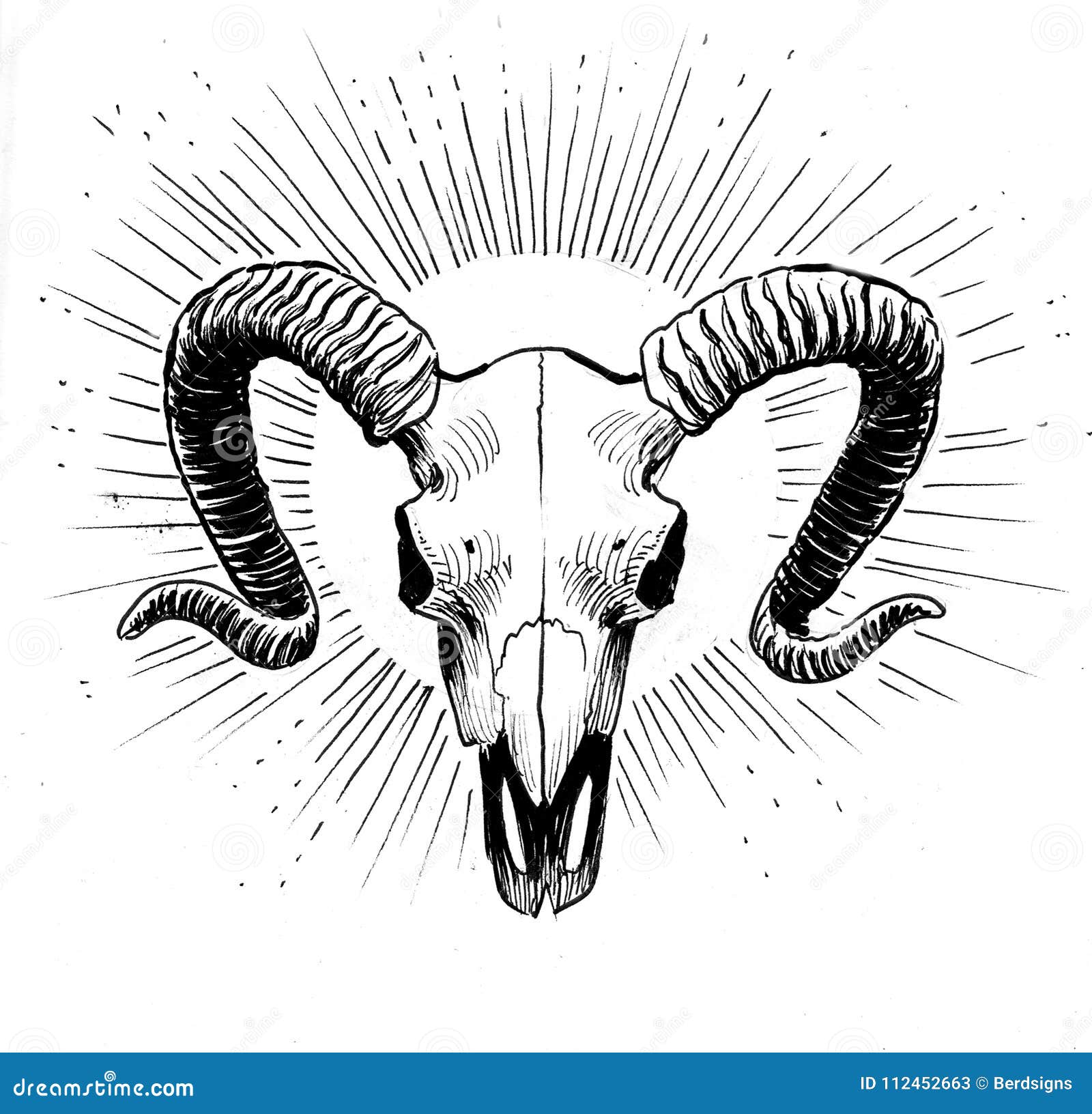 Ram skull stock illustration. Illustration of drawing - 112452663